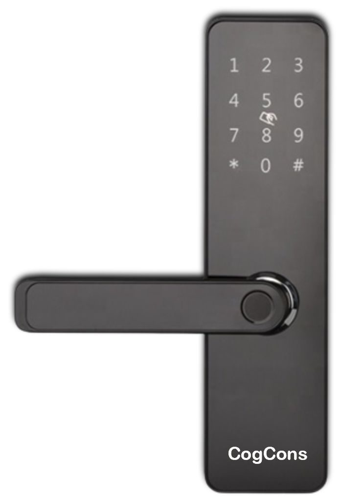 Smart Lock - CogCons
