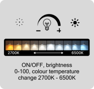 Smart Lighting - CogCons